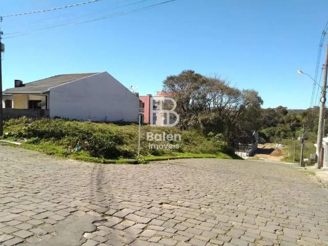 Terreno / Lote para Venda em Caxias do Sul/RS São Caetano