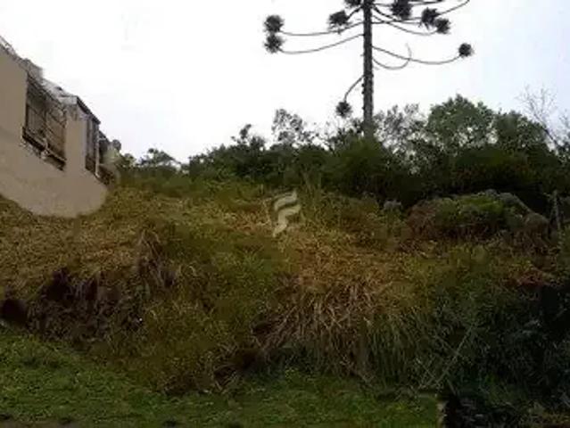 Terreno / Lote para Venda em Caxias do Sul/RS São Caetano