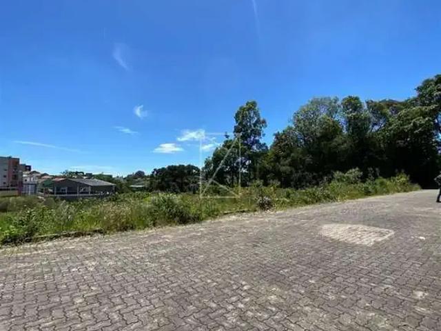 Terreno / Lote para Venda em Caxias do Sul/RS São Caetano