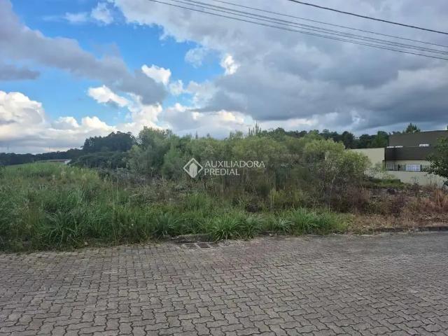 Terreno / Lote para Venda em Caxias do Sul/RS São Caetano