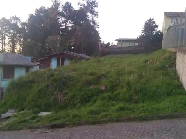 Terreno / Lote para Venda em Caxias do Sul/RS São Caetano