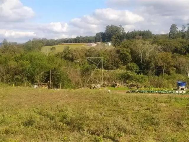 Terreno / Lote para Venda em Caxias do Sul/RS São Caetano