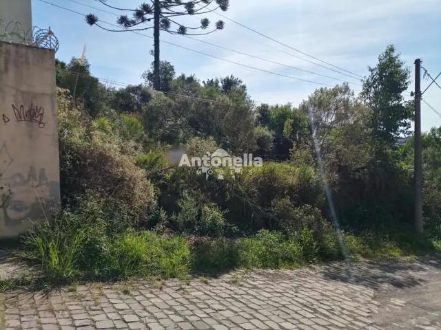 Terreno / Lote para Venda em Caxias do Sul/RS São Caetano