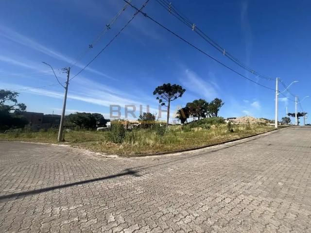Terreno / Lote para Venda em Caxias do Sul/RS São Ciro