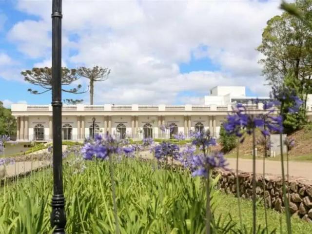 Terreno / Lote para Venda em Caxias do Sul/RS São Ciro