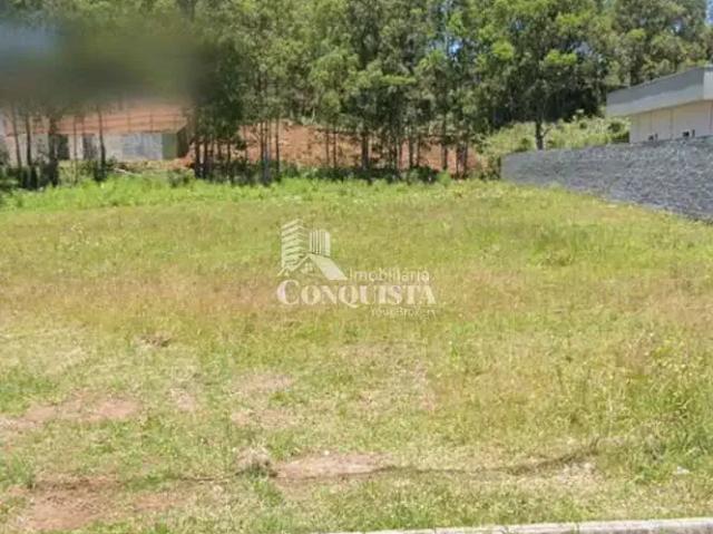 Terreno / Lote para Venda em Caxias do Sul/RS São Ciro