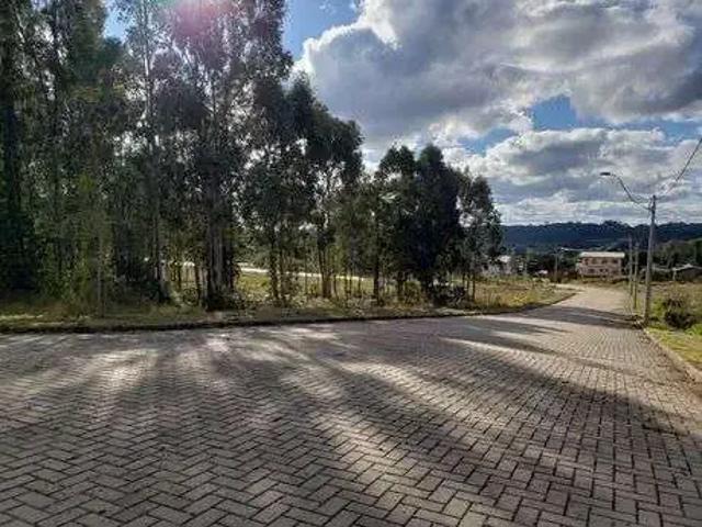 Terreno / Lote para Venda em Caxias do Sul/RS São Ciro