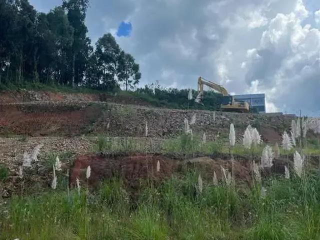 Terreno / Lote para Venda em Caxias do Sul/RS São Ciro