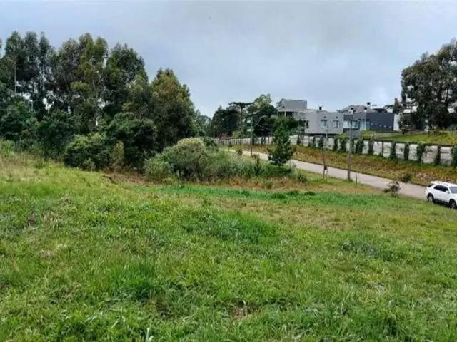 Terreno / Lote para Venda em Caxias do Sul/RS São Ciro
