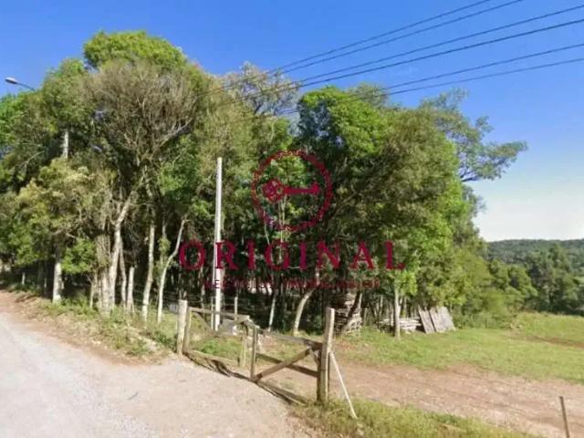 Terreno / Lote para Venda em Caxias do Sul/RS São Ciro