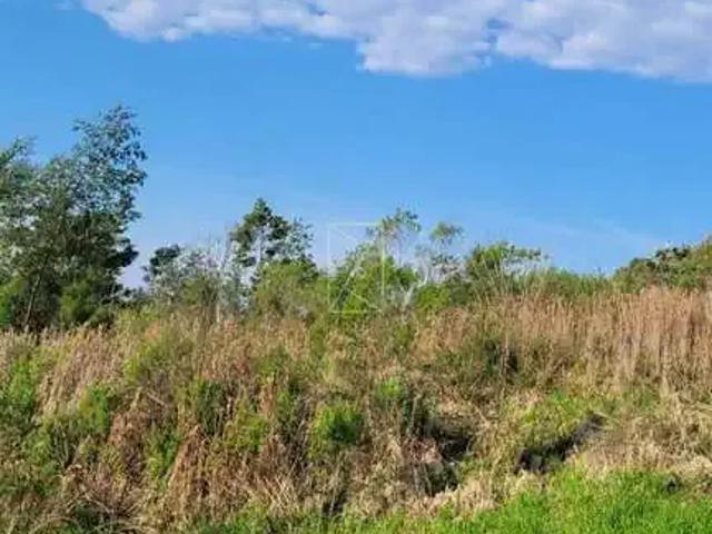Terreno / Lote para Venda em Caxias do Sul/RS São Ciro