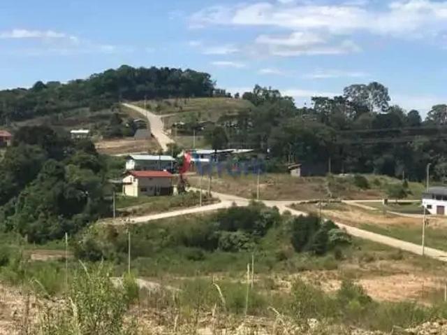 Terreno / Lote para Venda em Caxias do Sul/RS São Ciro