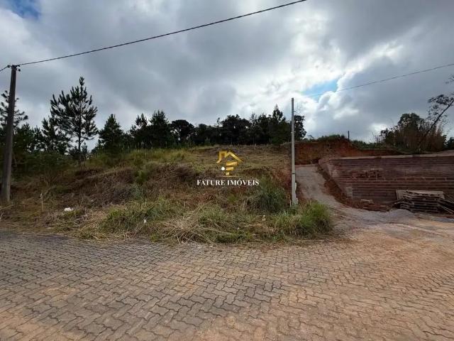 Terreno / Lote para Venda em Caxias do Sul/RS São Ciro
