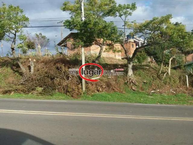 Terreno / Lote para Venda em Caxias do Sul/RS São Ciro