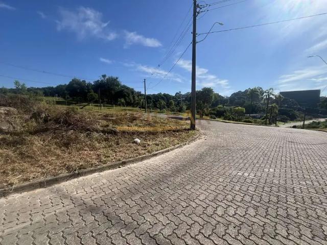 Terreno / Lote para Venda em Caxias do Sul/RS São Ciro