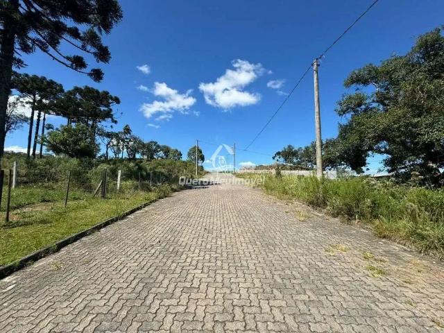 Terreno / Lote para Venda em Caxias do Sul/RS São Ciro