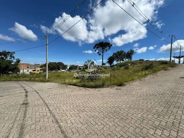Terreno / Lote para Venda em Caxias do Sul/RS São Ciro
