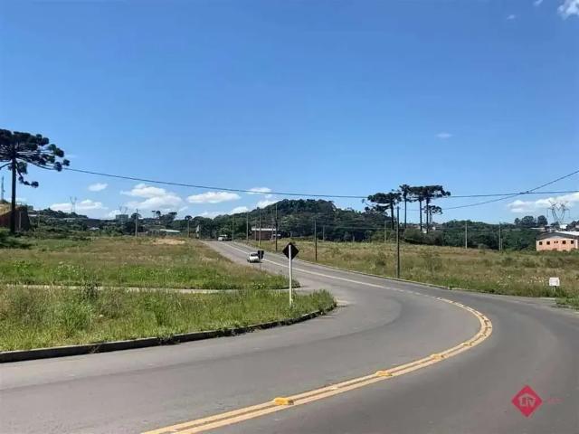 Terreno / Lote para Venda em Caxias do Sul/RS São Ciro