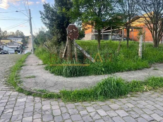 Terreno / Lote para Venda em Caxias do Sul/RS São Ciro