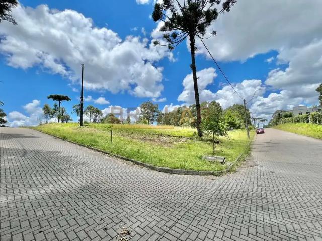 Terreno / Lote para Venda em Caxias do Sul/RS São Ciro