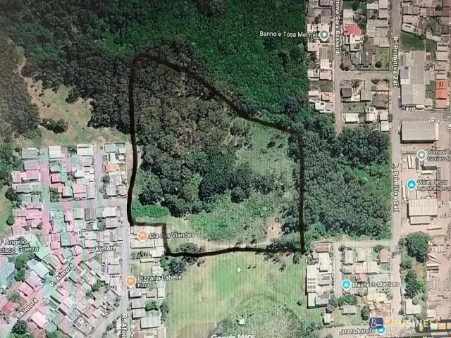 Terreno / Lote para Venda em Caxias do Sul/RS São Ciro