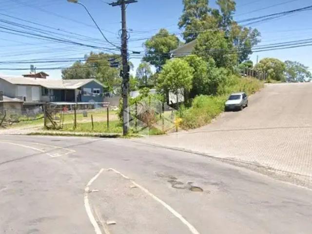 Terreno / Lote para Venda em Caxias do Sul/RS São Ciro
