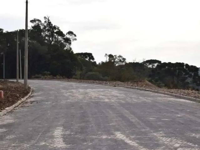 Terreno / Lote para Venda em Caxias do Sul/RS São Ciro