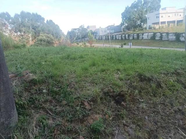Terreno / Lote para Venda em Caxias do Sul/RS São Ciro