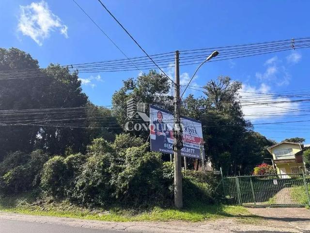 Terreno / Lote para Venda em Caxias do Sul/RS São Cristóvão