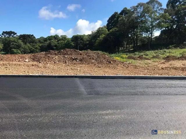 Terreno / Lote para Venda em Caxias do Sul/RS São Cristóvão