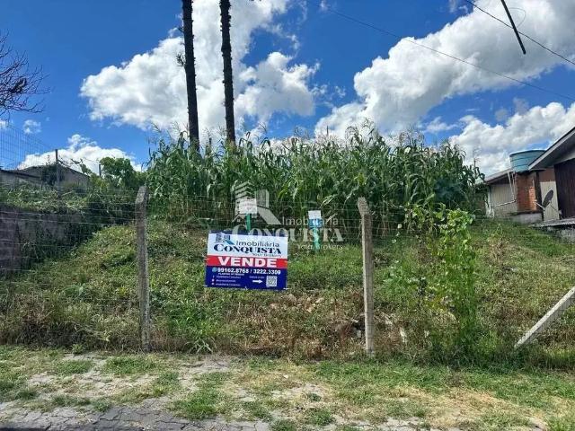 Terreno / Lote para Venda em Caxias do Sul/RS São Cristóvão