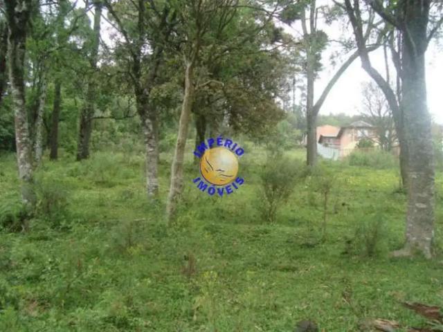 Terreno / Lote para Venda em Caxias do Sul/RS São Cristóvão