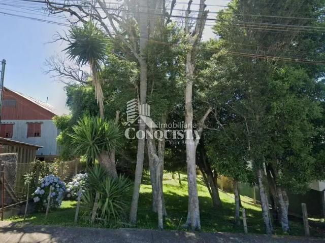 Terreno / Lote para Venda em Caxias do Sul/RS São Cristóvão