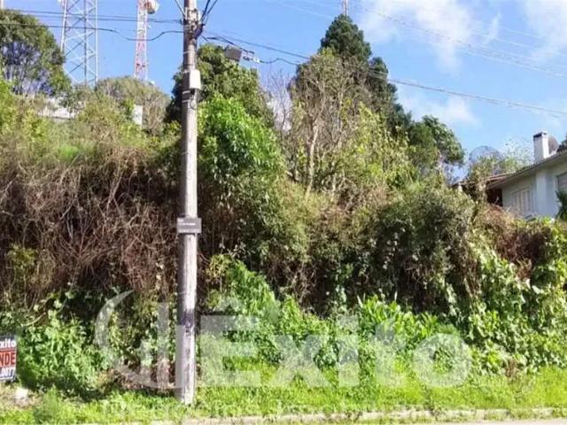 Terreno / Lote para Venda em Caxias do Sul/RS São Cristóvão