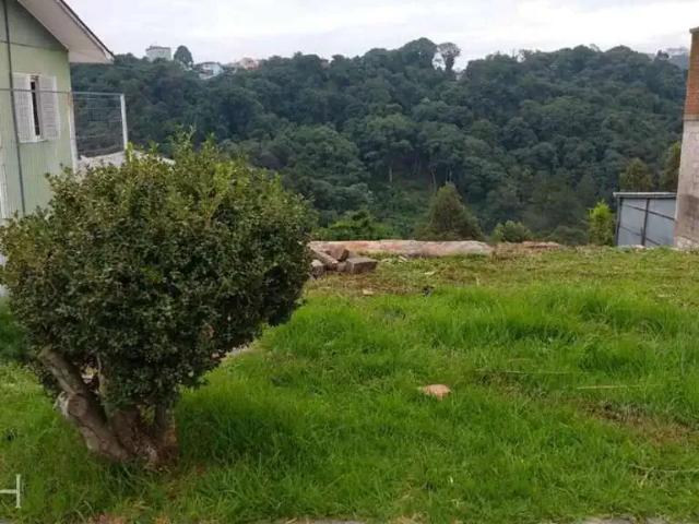 Terreno / Lote para Venda em Caxias do Sul/RS São Cristóvão