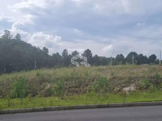Terreno / Lote para Venda em Caxias do Sul/RS São Giácomo