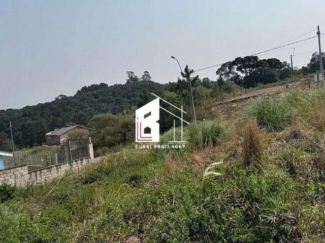 Terreno / Lote para Venda em Caxias do Sul/RS São Giácomo