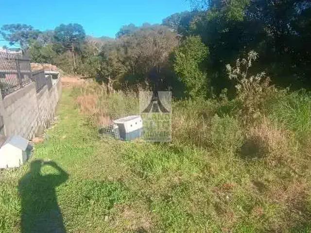 Terreno / Lote para Venda em Caxias do Sul/RS São Giácomo