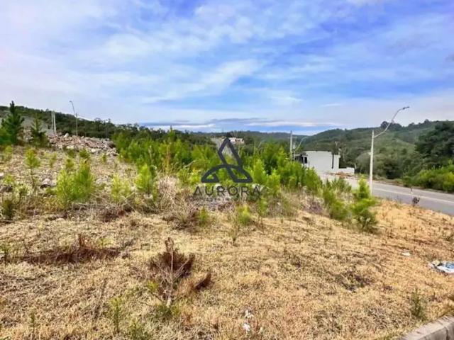 Terreno / Lote para Venda em Caxias do Sul/RS São Giácomo