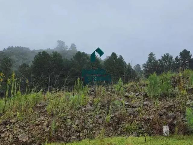 Terreno / Lote para Venda em Caxias do Sul/RS São Giácomo