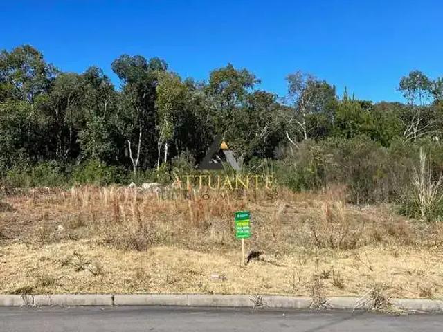 Terreno / Lote para Venda em Caxias do Sul/RS São Giácomo