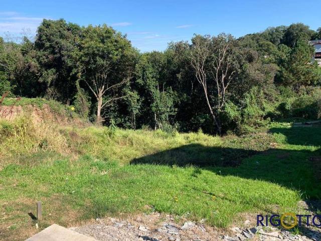 Terreno / Lote para Venda em Caxias do Sul/RS Cidade Industrial