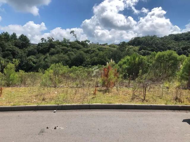 Terreno / Lote para Venda em Caxias do Sul/RS São Giácomo