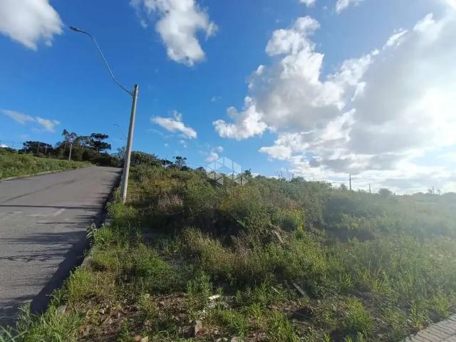 Terreno / Lote para Venda em Caxias do Sul/RS São Giácomo