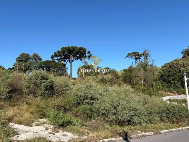 Terreno / Lote para Venda em Caxias do Sul/RS São Giácomo