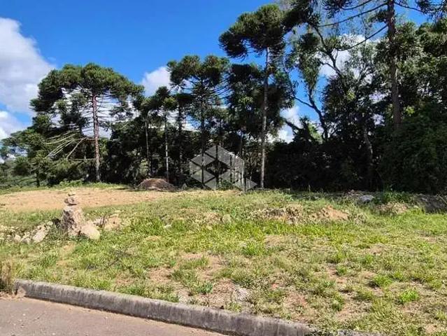 Terreno / Lote para Venda em Caxias do Sul/RS São Giácomo