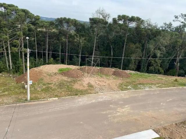 Terreno / Lote para Venda em Caxias do Sul/RS São Giácomo