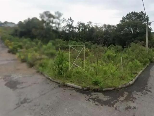 Terreno / Lote para Venda em Caxias do Sul/RS São Giácomo