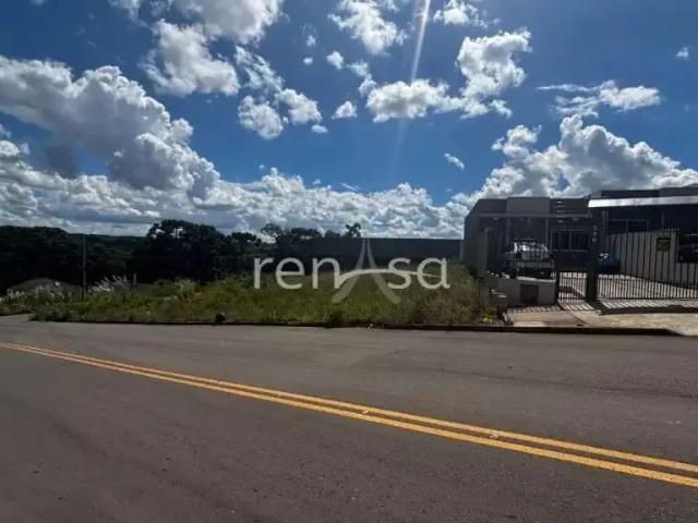 Terreno / Lote para Venda em Caxias do Sul/RS São Giácomo
