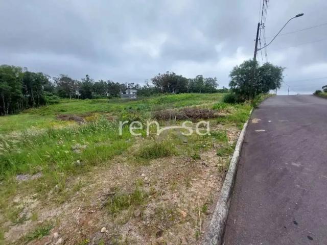 Terreno / Lote para Venda em Caxias do Sul/RS São Giácomo